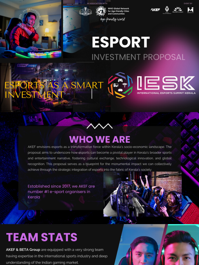 BETA Group Esports as a smart investment | PDF