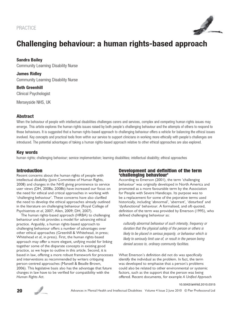 Challenging Behaviour A Human Rights Based Approach | PDF | Disability ...