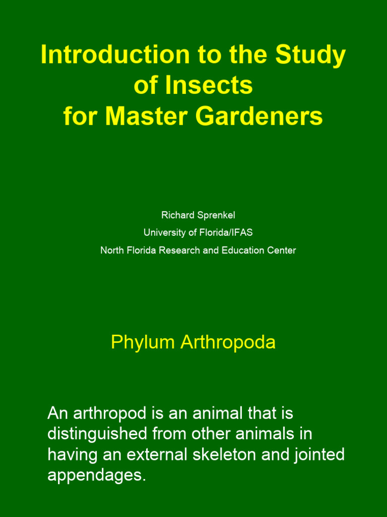 Introduction To Entomology | PDF | Insects | Lepidoptera
