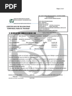 Incapacidad Imss Editable | PDF