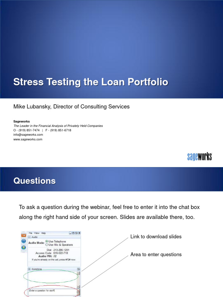 Stress Testing The Loan Portfolio | PDF | Stress Test (Financial) | Banks
