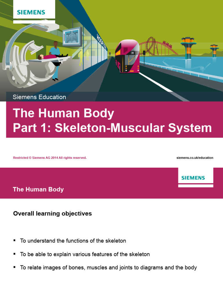 35131-KS2 TheHumanBody Teaching Resource | PDF | Human Body | Heart