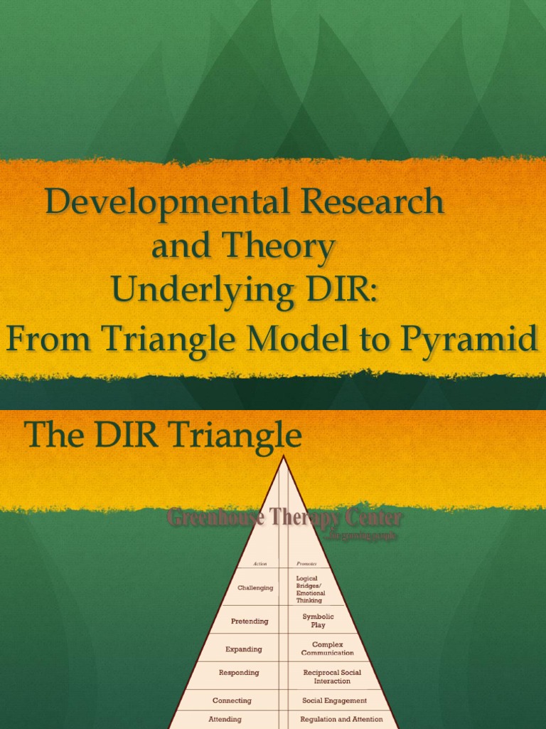 DIR and Brain Development | PDF | Attachment Theory | Limbic System