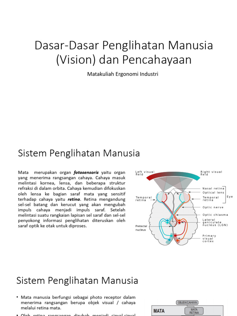 Dasar-Dasar Penglihatan Manusia (Vision) dan Pencahayaan | PDF Dasar-Dasar Penglihatan Manusia (Vision) dan Pencahayaan | PDF