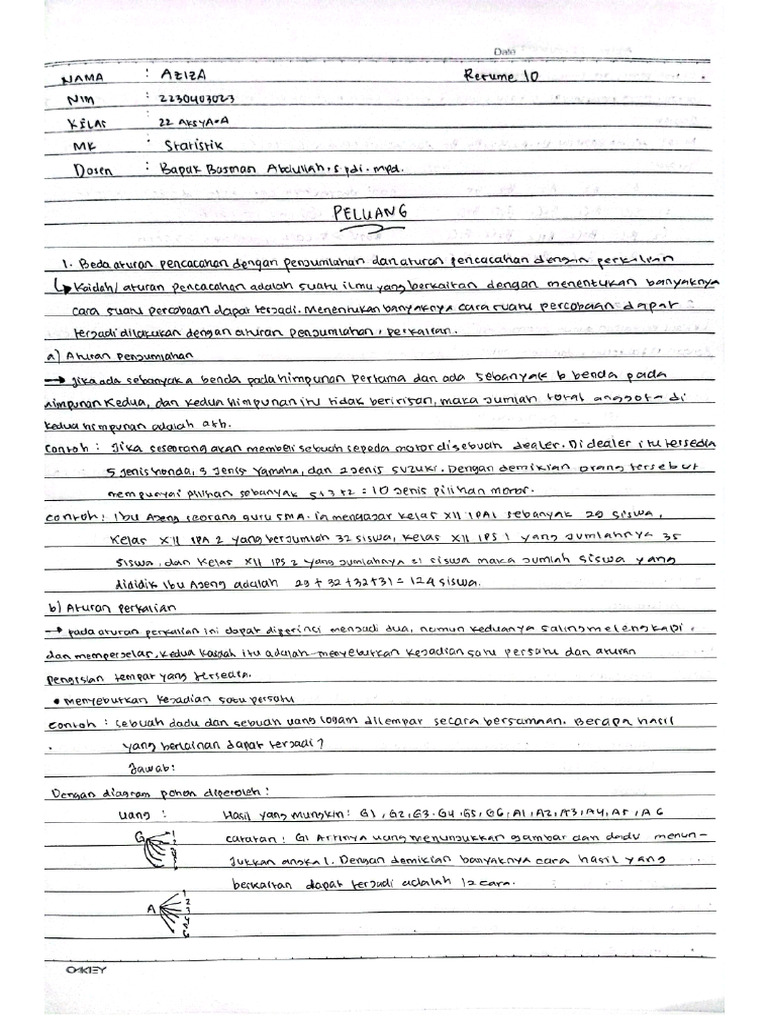 Resume 10 statistics_Aziza | PDF