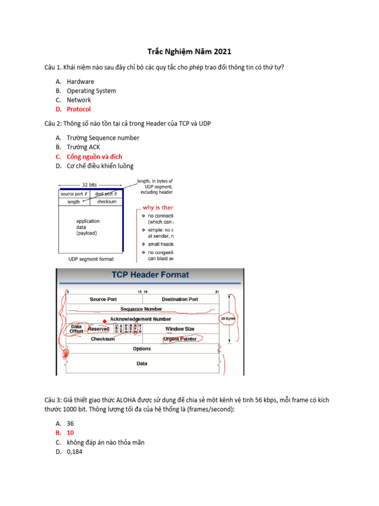 TracNghiem MMT 1 | PDF
