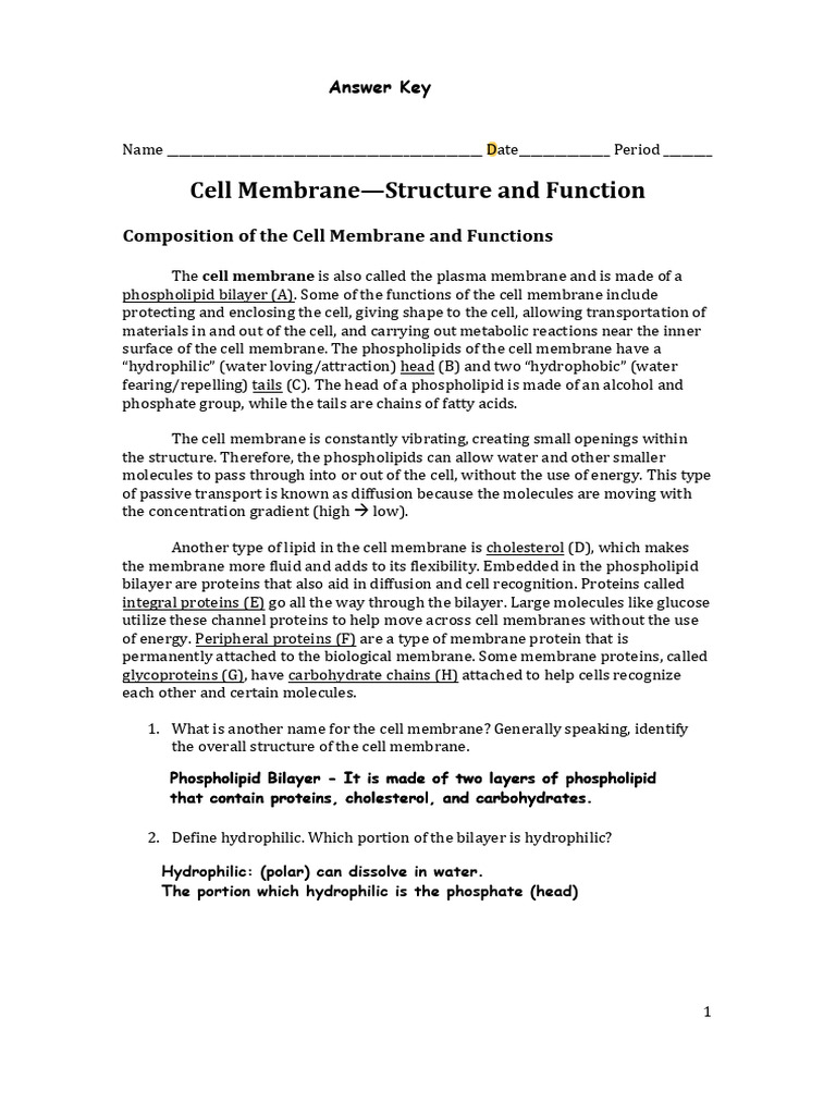 Cell Membrane Structure & Function | PDF | Lipid Bilayer | Phospholipid