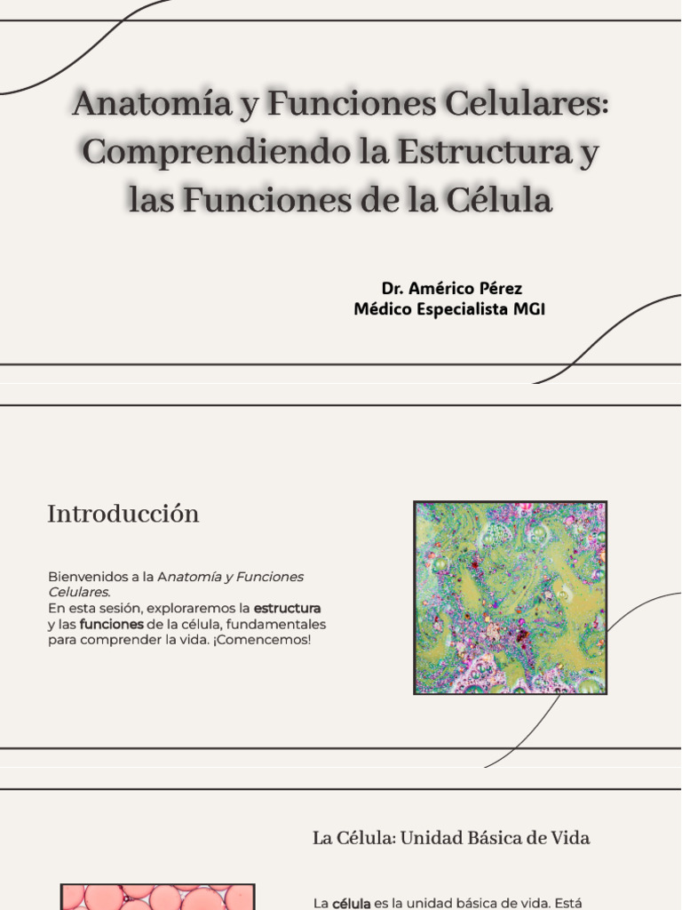Anatomia y Funciones Celulares | PDF | Biología Celular) | Vida