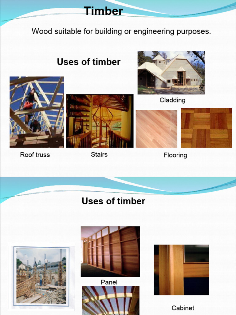 5 Timber | PDF | Lumber | Wood