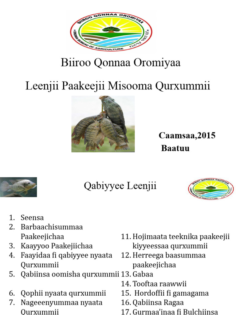 Paakeejii Misooma Qurxummii 2015 | PDF