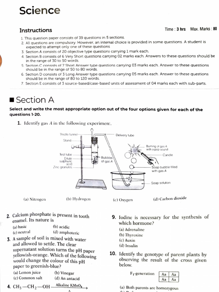 Science: Sectiona | PDF | Mains Electricity | Acid