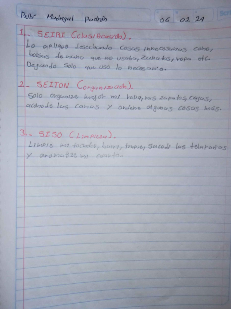 Implementación de Las 3S | PDF