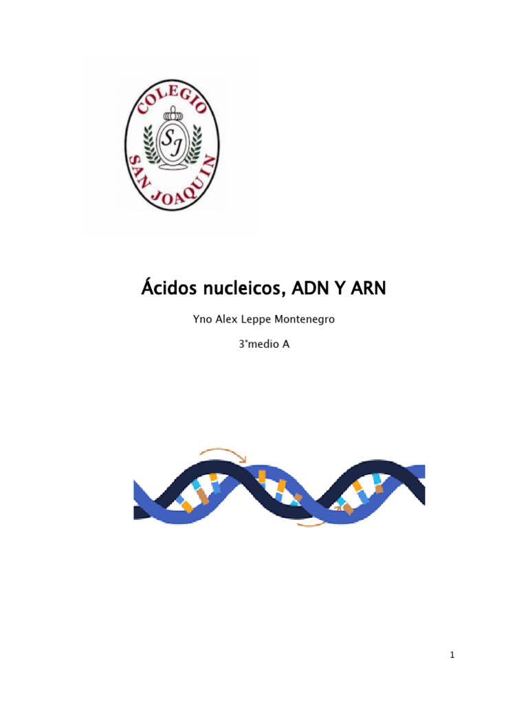 Ácidos Nucleicos | PDF | Rna | Ácidos nucleicos