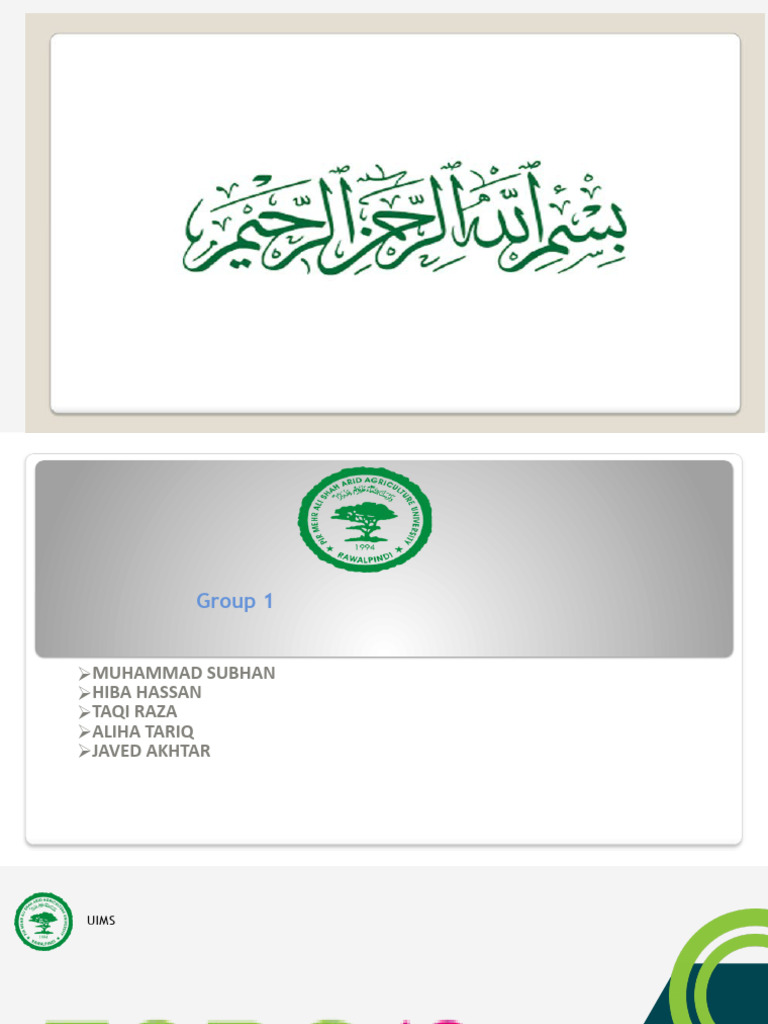 ZONG 4G Final Report | PDF | Sustainability | 4 G