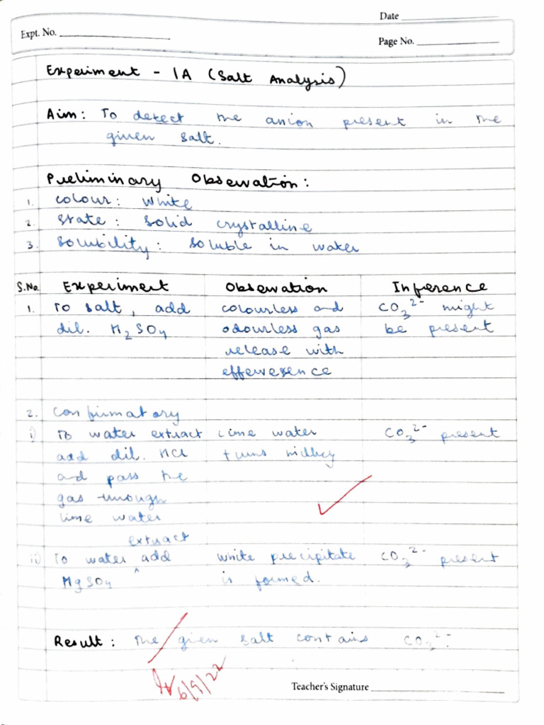 Chemistry Prac S Full | PDF