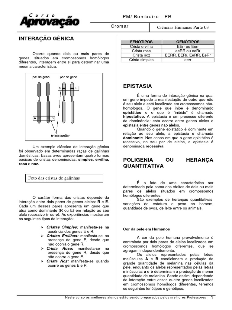 Exercios Interacao Genica Epstasia e Poligenia | PDF | Epistasia | Alelo