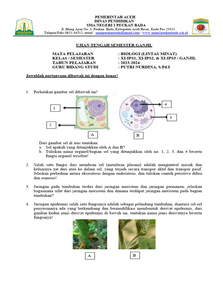 Soal Uts Bio Ganjil Kls Xi Ips1,2,3 2023-2024 | PDF