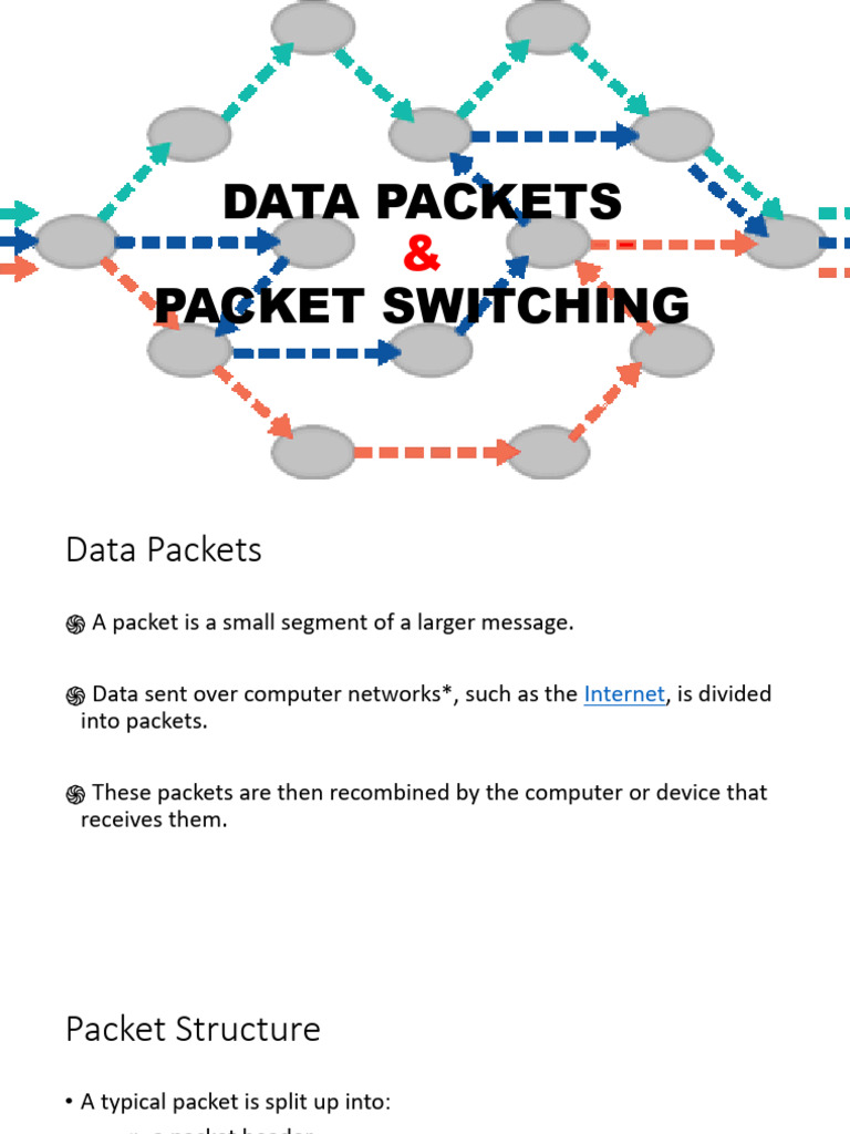 Data Packets & Packet Switching | PDF | Computer Network | Network Packet