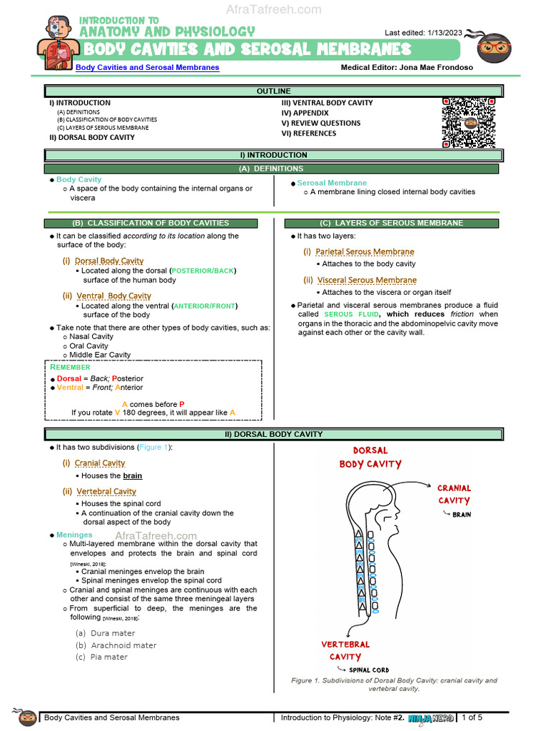 Body Cavities & Serosal Membranes (2) Atf | PDF | Peritoneum | Anatomy