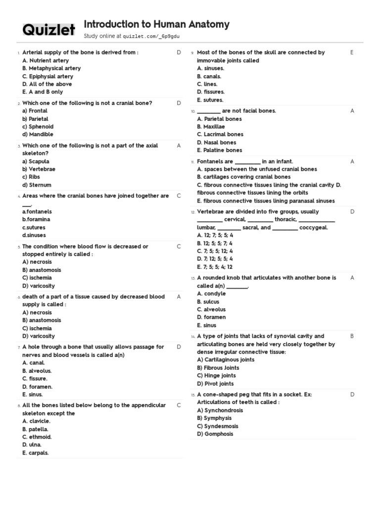 Test Bank Anatomy | PDF | Skull | Muscle