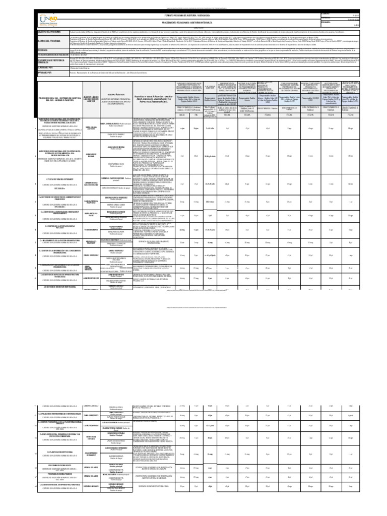 Formato Programa-Auditorias-2024 | PDF | Auditoría | Contralor