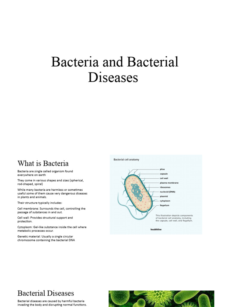 Understanding Bacteria and Diseases | PDF | Science & Mathematics