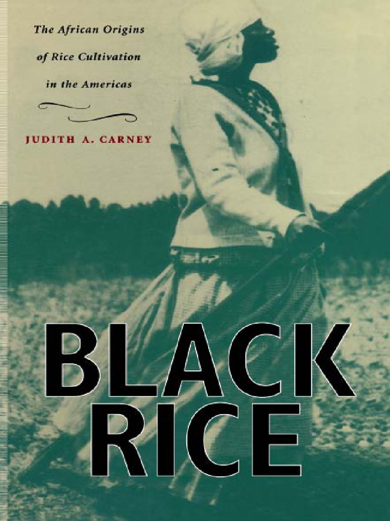Black Rice The African Origins of Rice C | PDF | Cereals | Atlantic ...