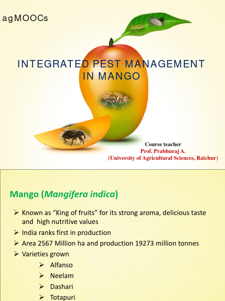Mango Ipm | Download Free PDF | Pest (Organism) | Insects