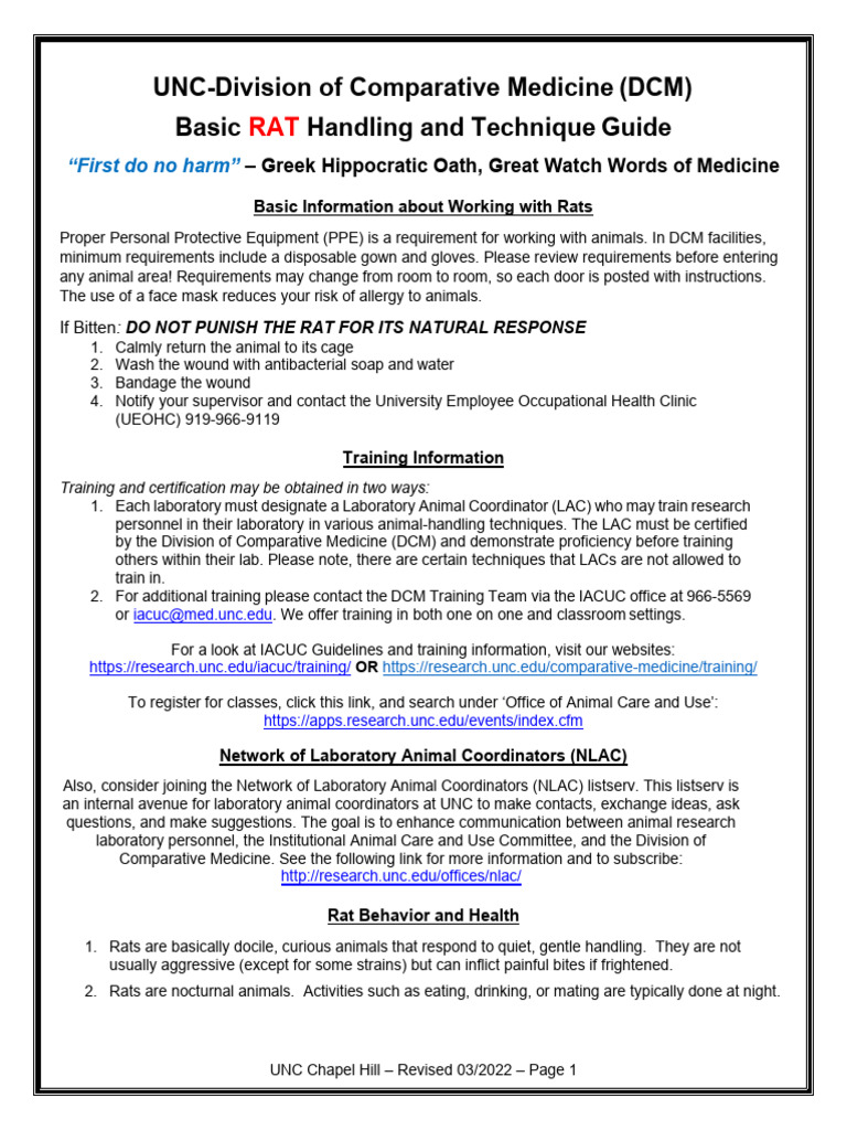 Basic Rat Handling Techniques Guide | PDF | Injection (Medicine ...
