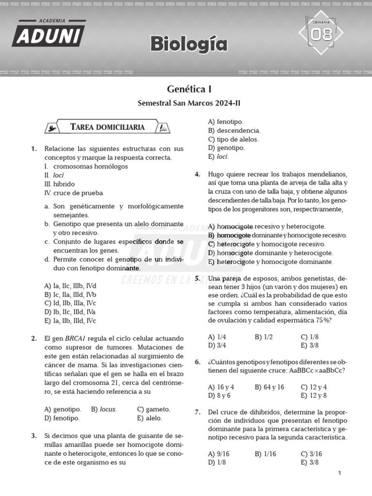 BI SSM Dom Sem08 | PDF | Dominancia (Genética) | Cigosidad