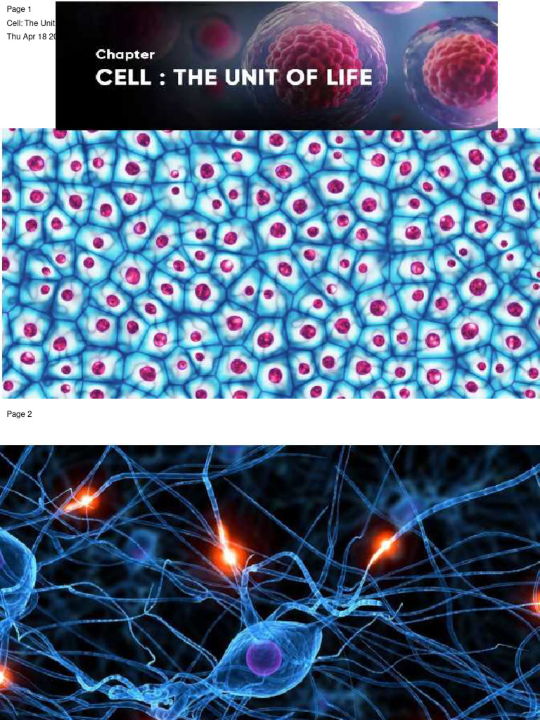 Cell Unit of Life Session 1 | PDF | Technology & Engineering