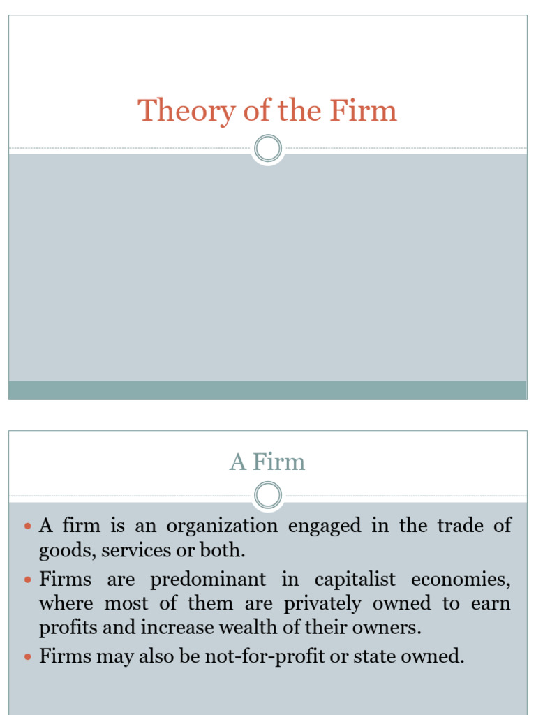 Theory of The Firm | PDF | Profit (Economics) | Demand