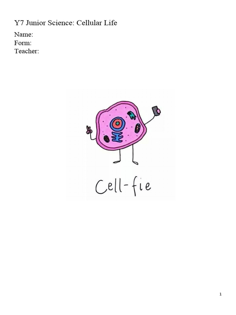 Cells booklet | PDF | Cell (Biology) | Diffusion
