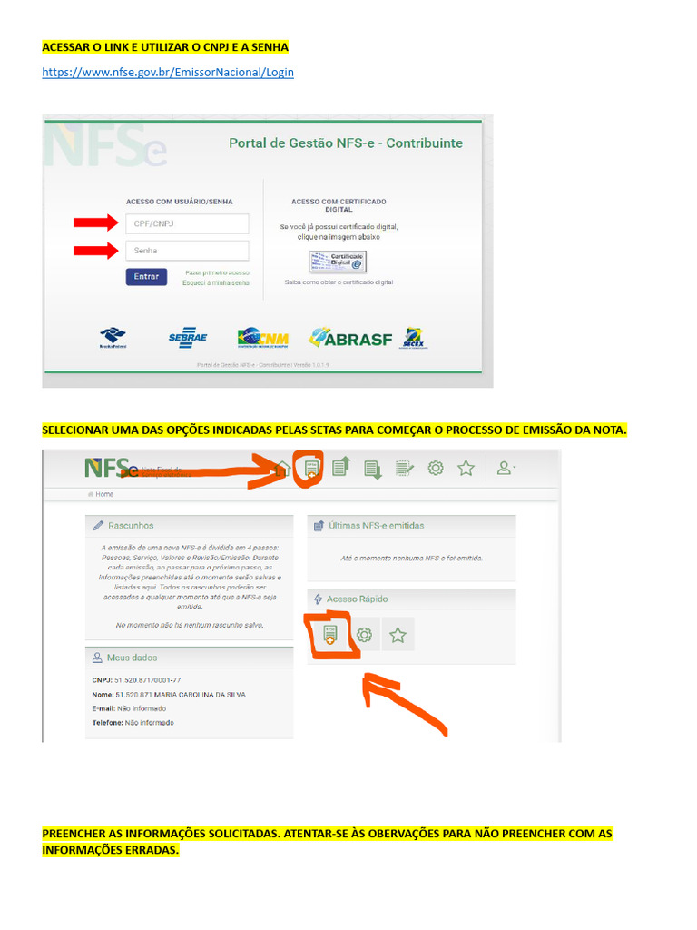 MANUAL EMISSOR NFSE (Geral) | PDF
