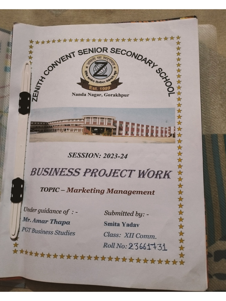 Business Project Work ? | PDF