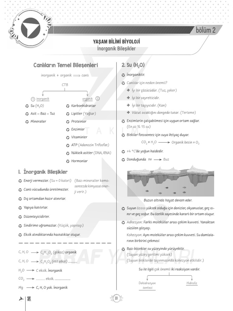 CTB İnorganik Bileşikler Biosem - Paraf | PDF