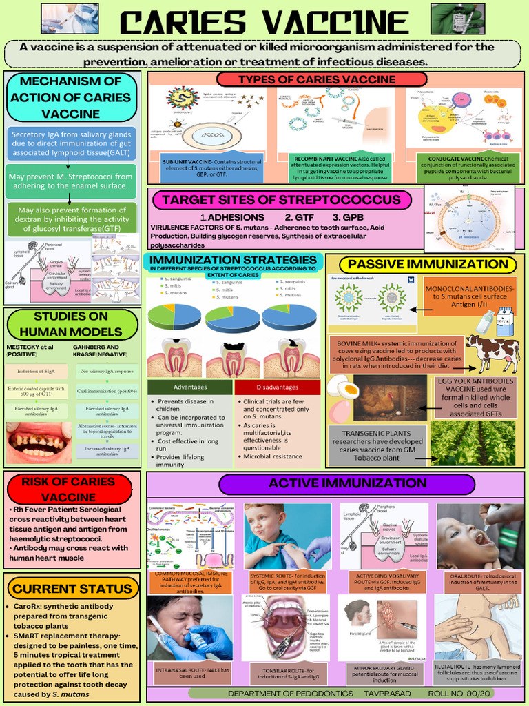 Forms of Energy Physical Science Classroom Poster Pastel Illustratted ...