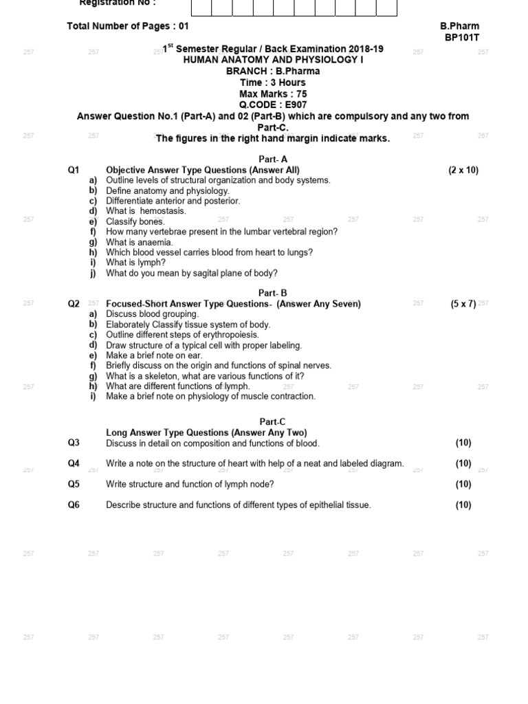 2018-19 University Exam Questions | PDF | Human Body | Vertebra