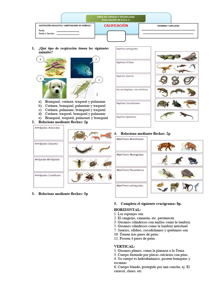 Examen 1ro, Reino Animal | PDF | Especie en peligro | Fauna