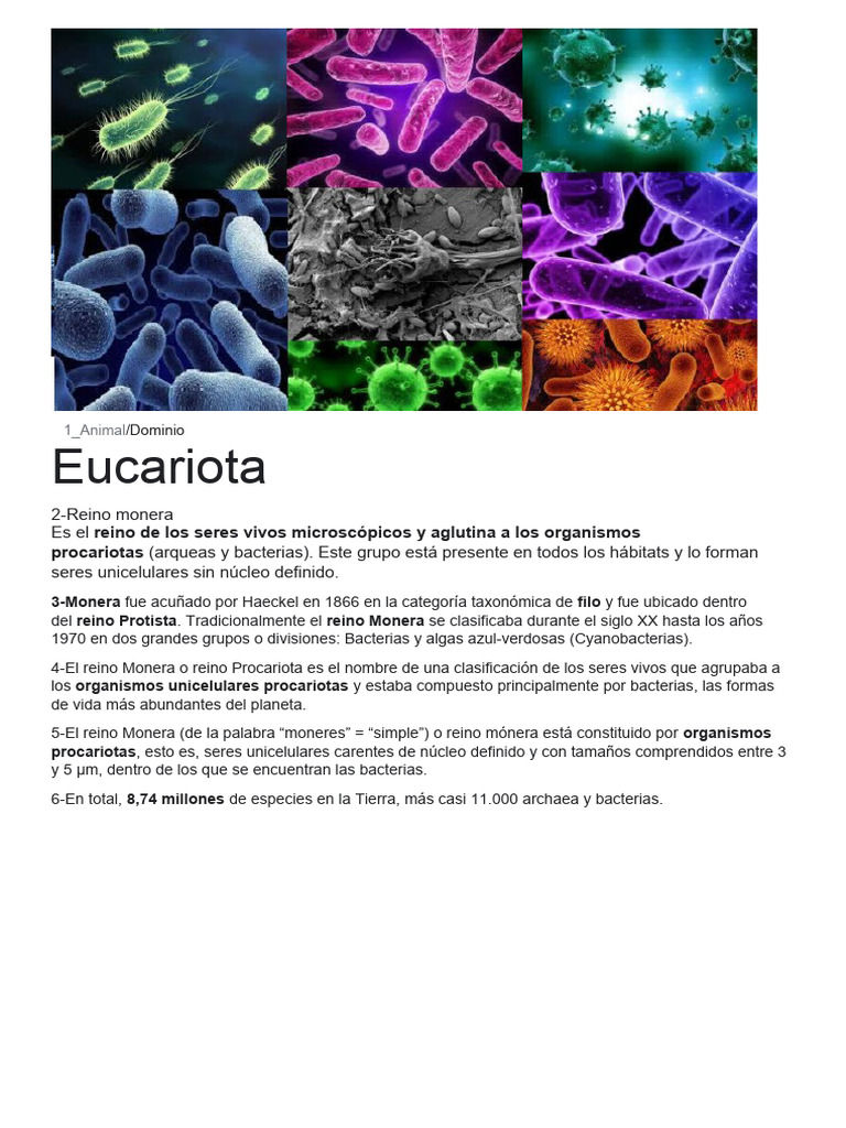 Tipos de Reino Dominio, Reino, Filo, Clse, Genero y Especie ...