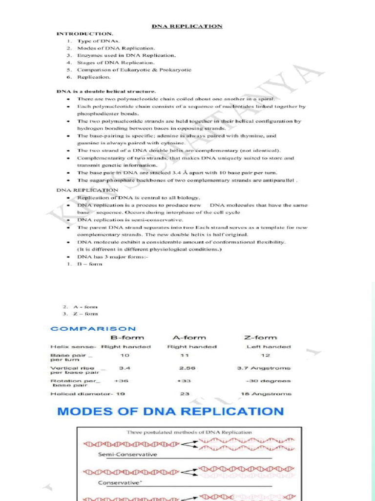 MT 02 | PDF