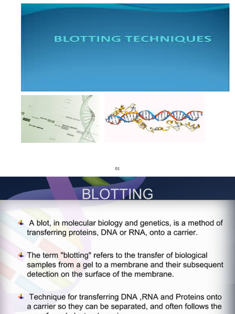 Types of Blotting Techniques | PDF