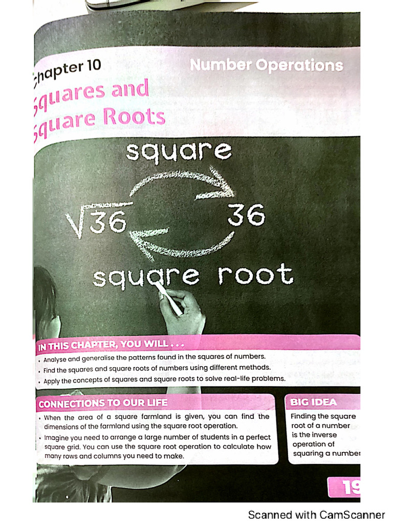 Square and Square Roots | PDF