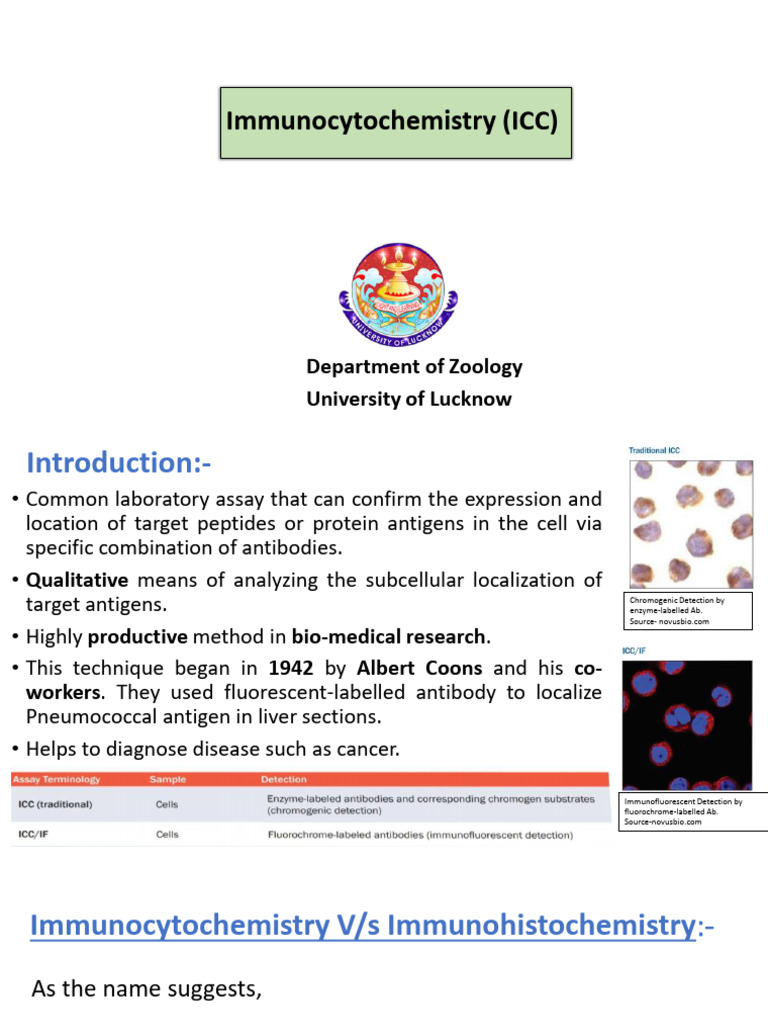 Immunocytochemistry | PDF | Fixation (Histology) | Immunohistochemistry