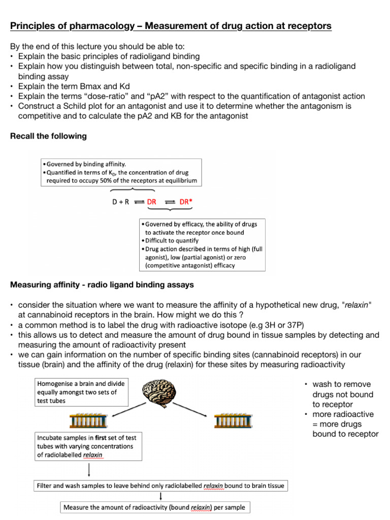 L5 - Measurement of Drug Action at Receptors | PDF | Receptor ...