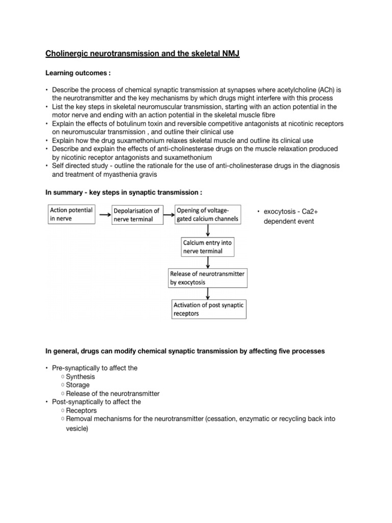 L8 - Cholinergic Neurotransmission and The Skeletal NMJ | PDF | Acetylcholine | Neuromuscular ...