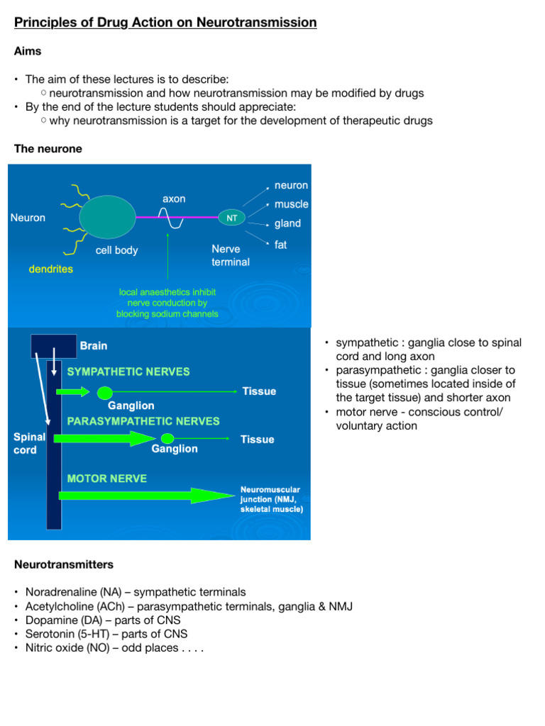L6 - Principles of Drug Action On Neurotransmission | PDF ...