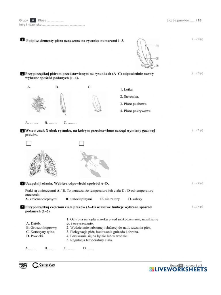 Kartkówka Ptaki Klasa 6 Biologia | PDF