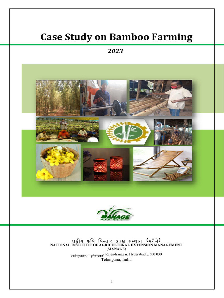 Taher Arjumand Bamboo Case Study Final | Download Free PDF | Bamboo | Agriculture
