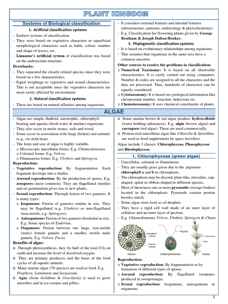 Plant Kingdom Quick Notes | PDF | Spore | Reproduction